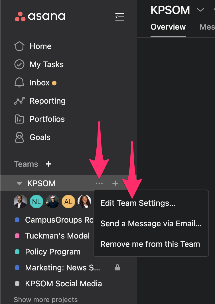 Adding a Team Admin to your Asana Team – KP School of Medicine IT